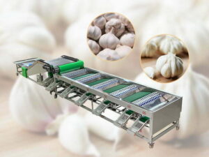 Garlic machinery - Garlic harvester machine,Garlic classifying machine ...