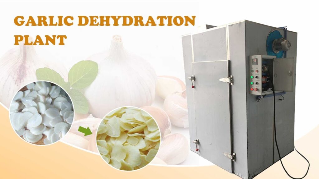 Affordable garlic dehydration machine | industrial garlic drying oven